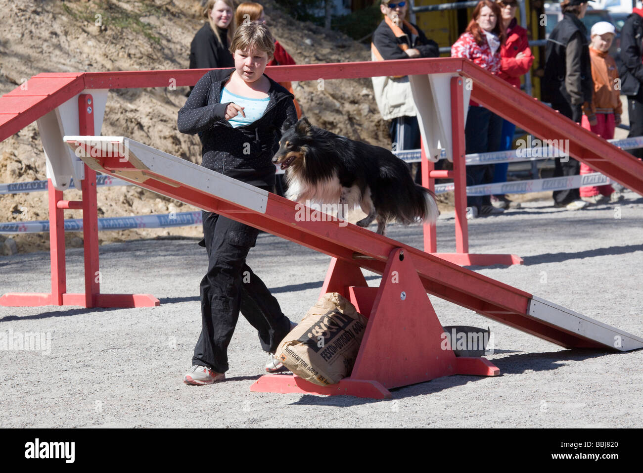 dog agility competition Stock Photo - Alamy