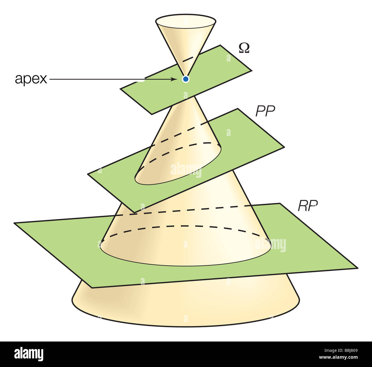The conic sections can be generated by projecting the circle formed by ...