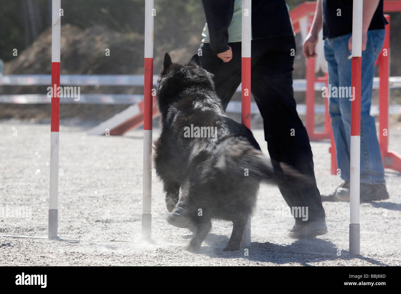 Weaving competition hi-res stock photography and images - Alamy