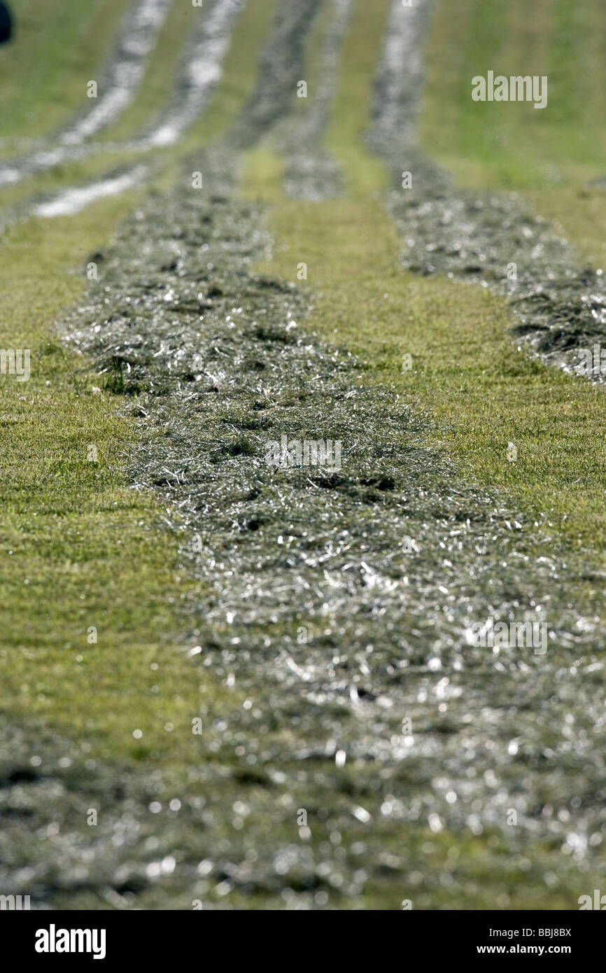 Silage In Rows Ready For Baling Stock Photo - Alamy