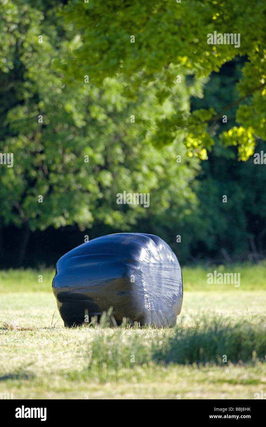 Black silage wrap hi-res stock photography and images - Alamy