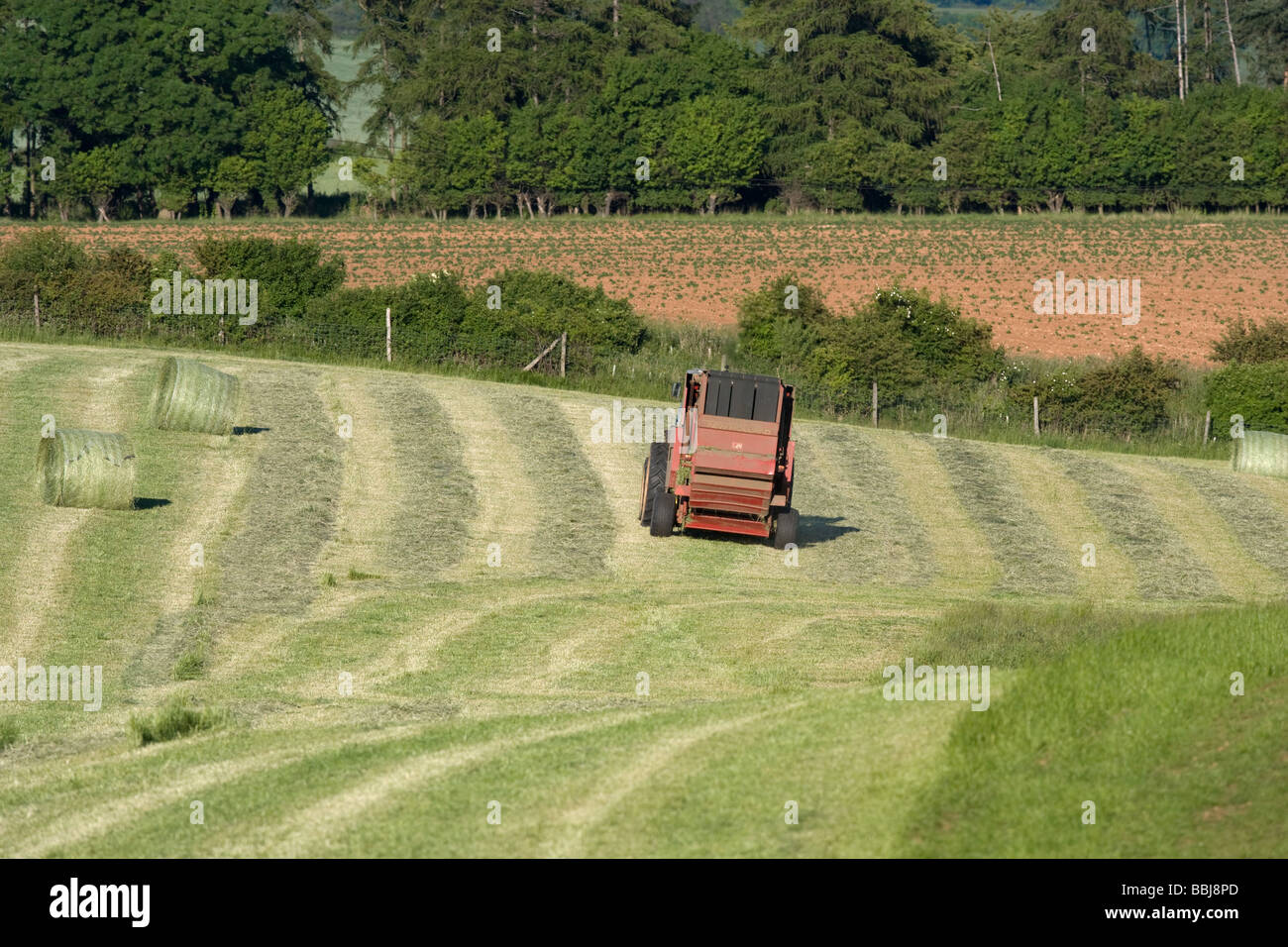 Tractor Baling Silage Stock Photo - Alamy