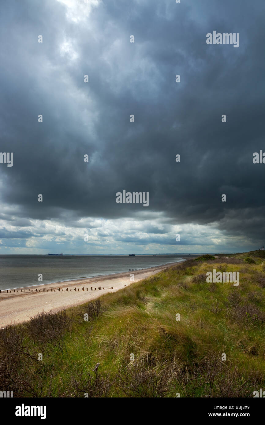 Spurn national nature reserve hi-res stock photography and images - Alamy
