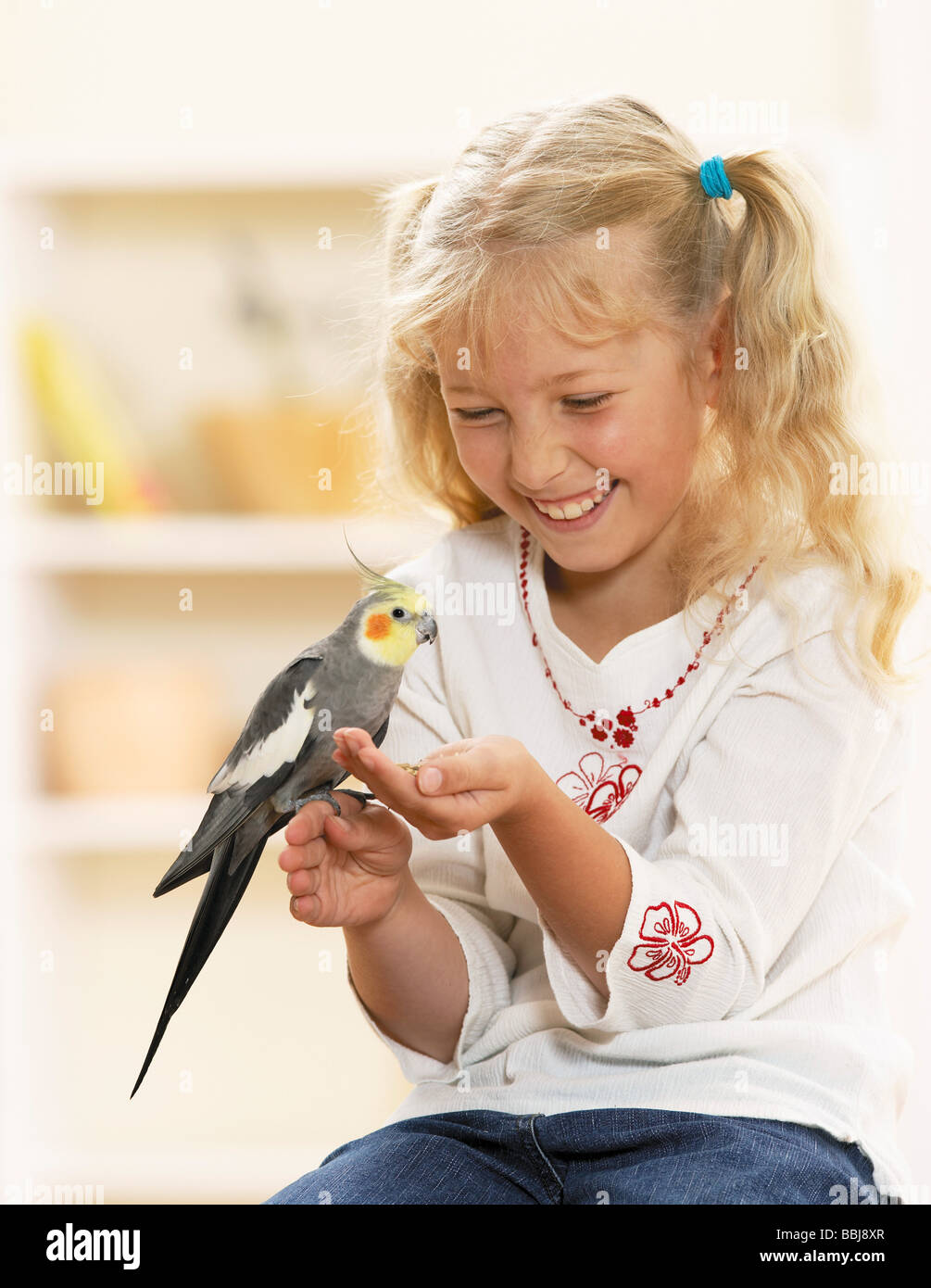 Girl with Cockatiel (Nymphicus hollandicus) on her hand Stock Photo - Alamy