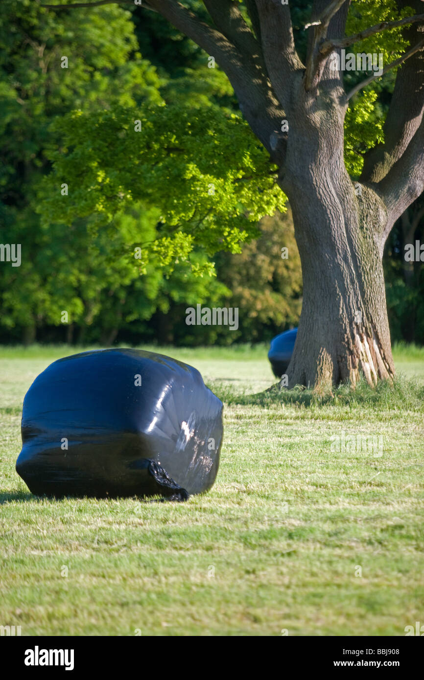 Black silage wrap hi-res stock photography and images - Alamy