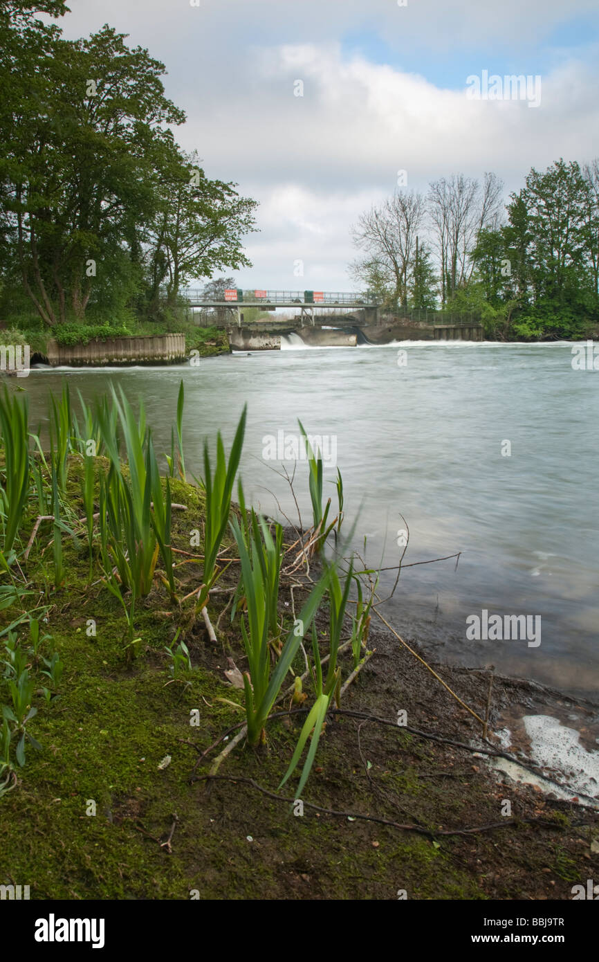Weir pools at Sutton Pools on the River Thames at Sutton Courtney ...