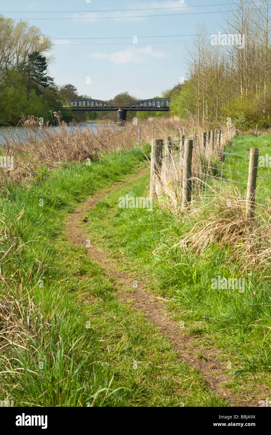 Looking towards the railway bridge over the River Thames upstream of ...