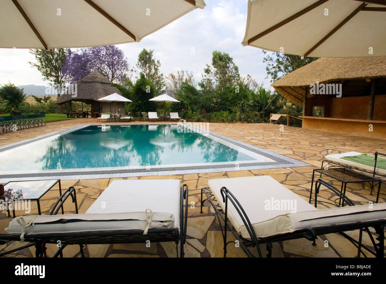 Pool area at Ngorongoro Farm House - Olodukan, Tanzania Stock Photo - Alamy