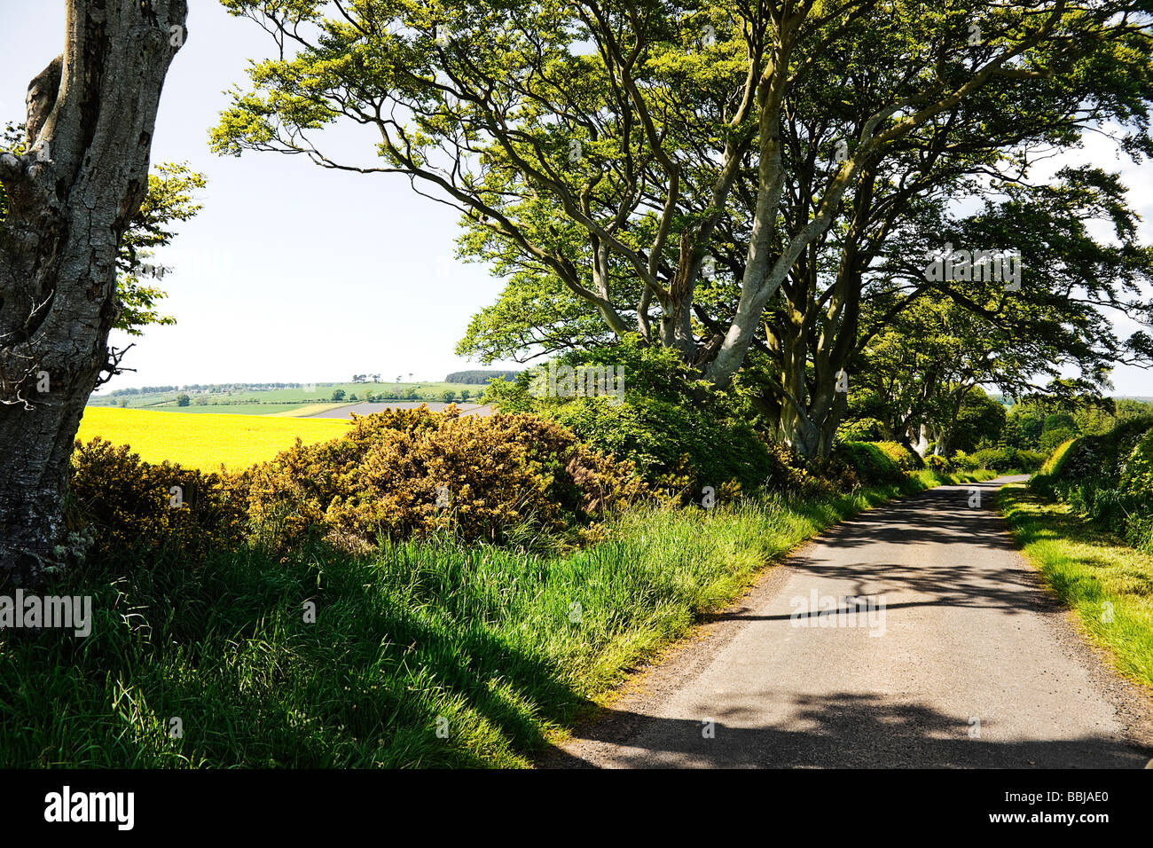 Borders roads hi-res stock photography and images - Alamy