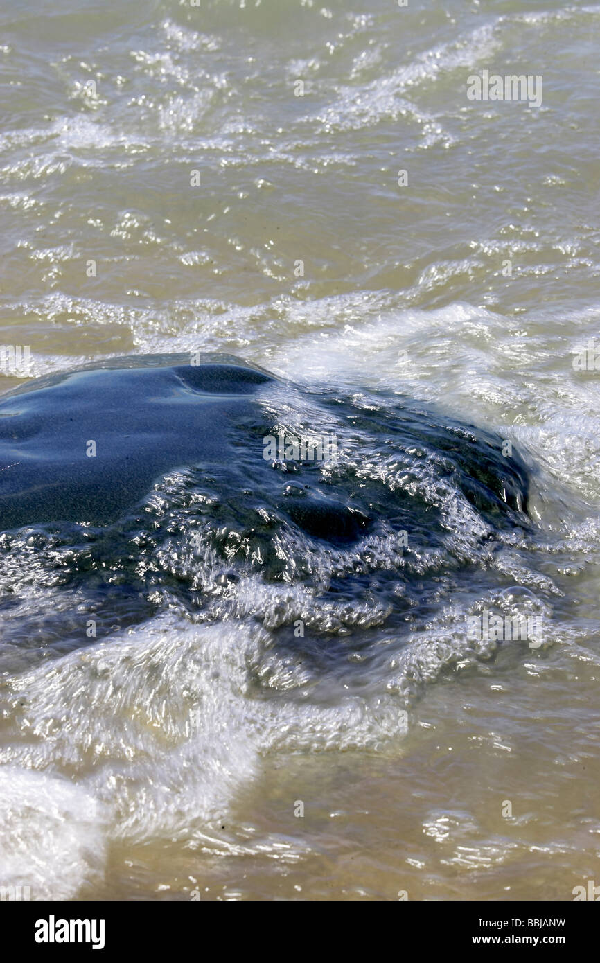 Being washed hi-res stock photography and images - Alamy