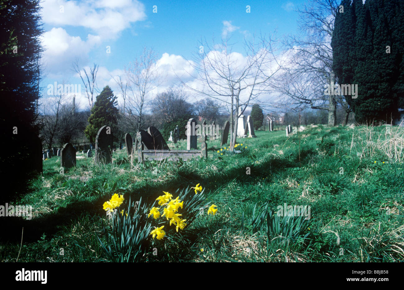 St Peters Church Tewin Hertfordshire Stock Photo - Alamy