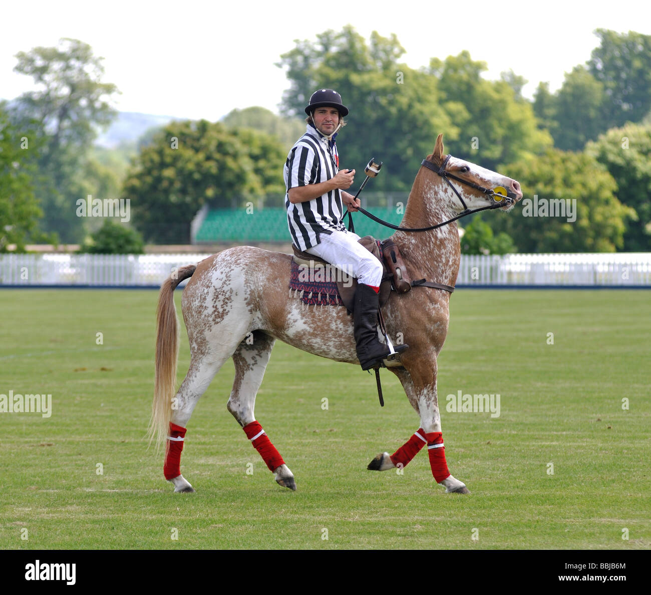 Polo pitch hi-res stock photography and images - Alamy
