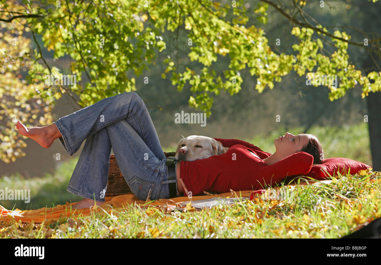 Dog under tree hi-res stock photography and images - Alamy