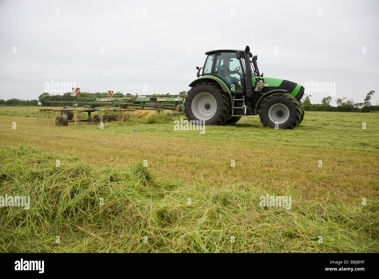 Deutz tractor with silage rake making silage to feed dairy cows in the ...