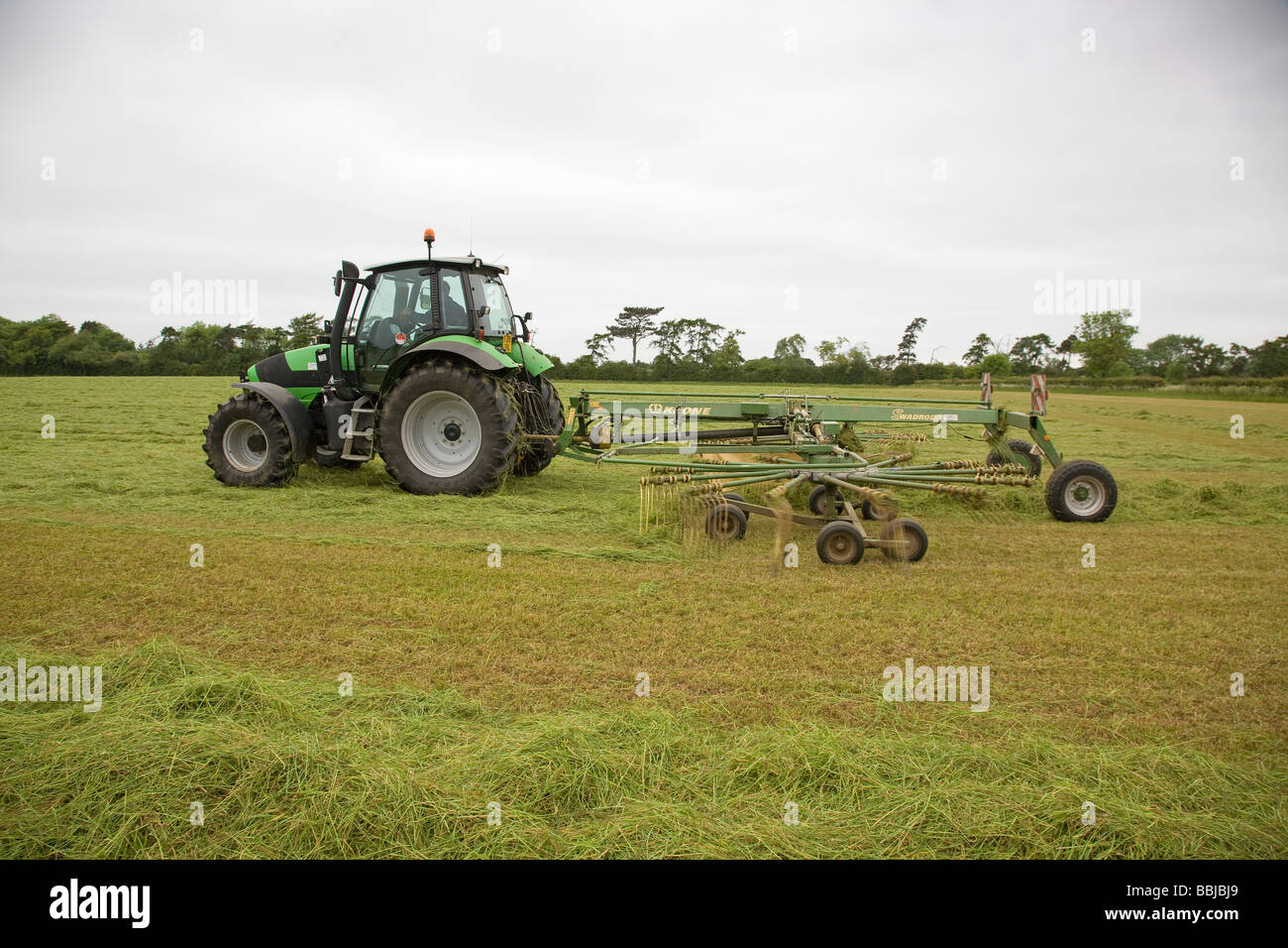 Deutz tractor with silage rake making silage to feed dairy cows in the ...