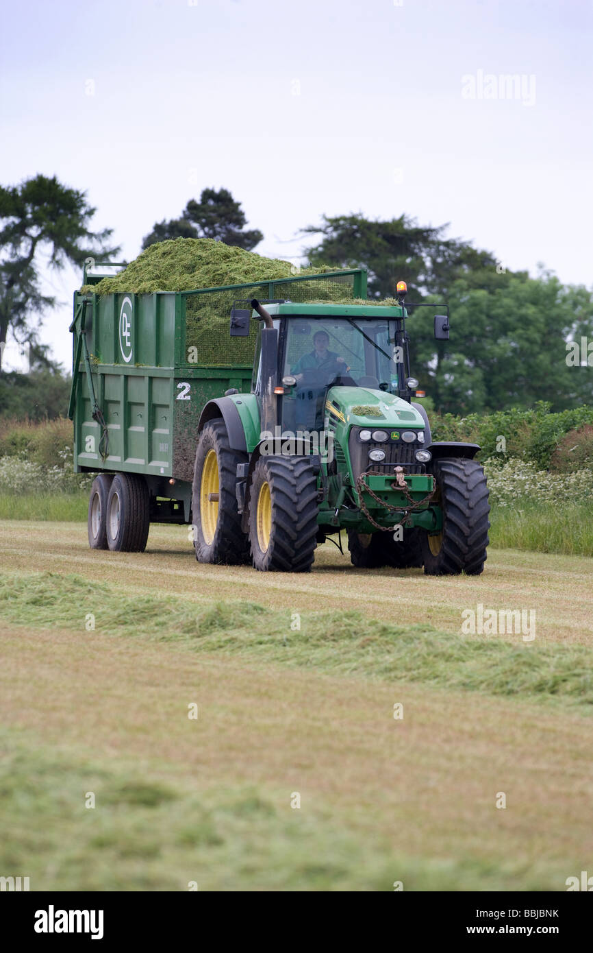 John Deere tractor carting silage to feed dairy cows in the winter ...