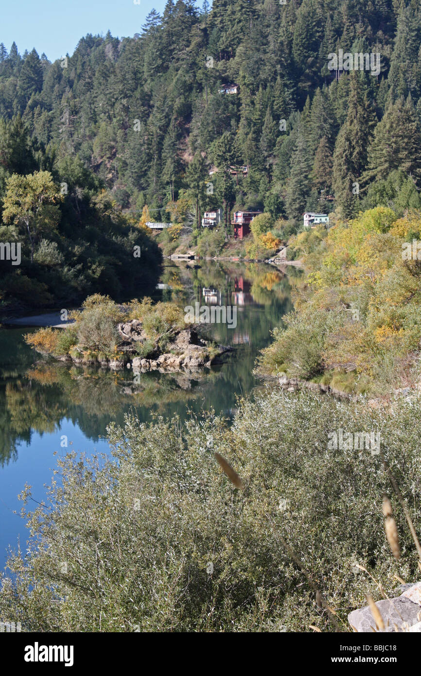 Russian woods hi-res stock photography and images - Alamy