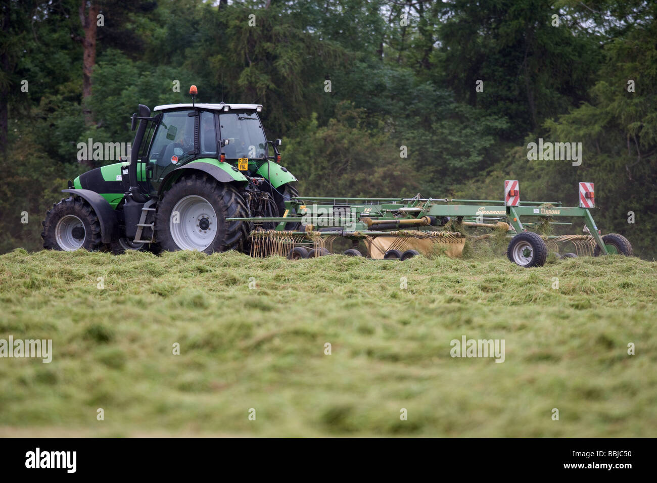 Deutz tractor with silage rake making silage to feed dairy cows in the ...