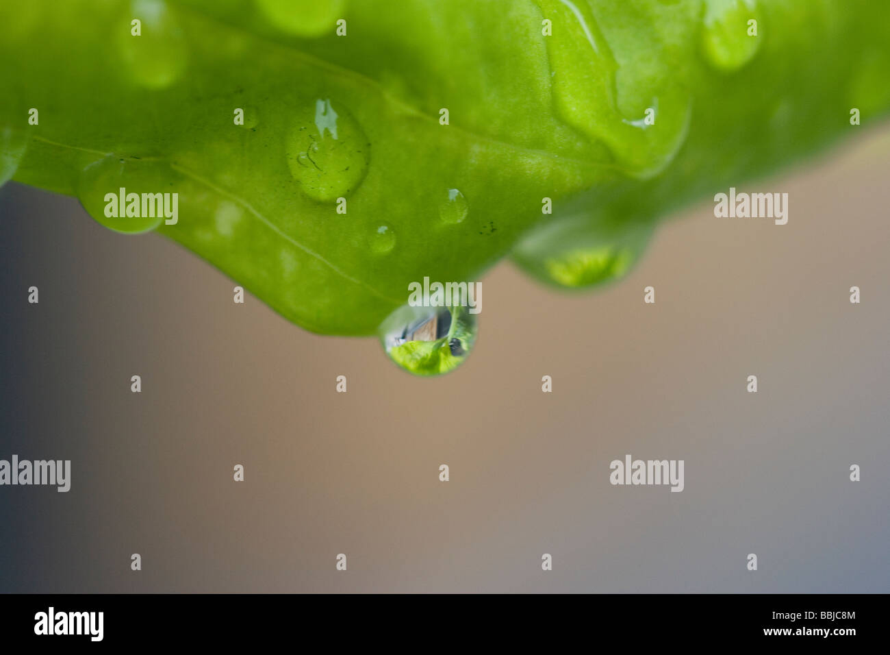 Uk moisturiser uk hi-res stock photography and images - Alamy