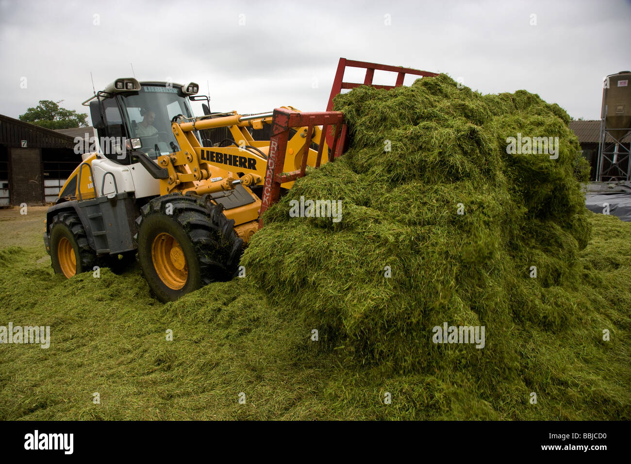 Loader working in a silage clamp Stock Photo - Alamy
