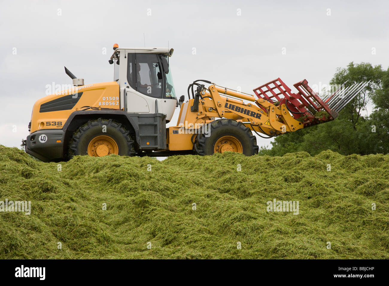 Loader working in a silage clamp Stock Photo - Alamy