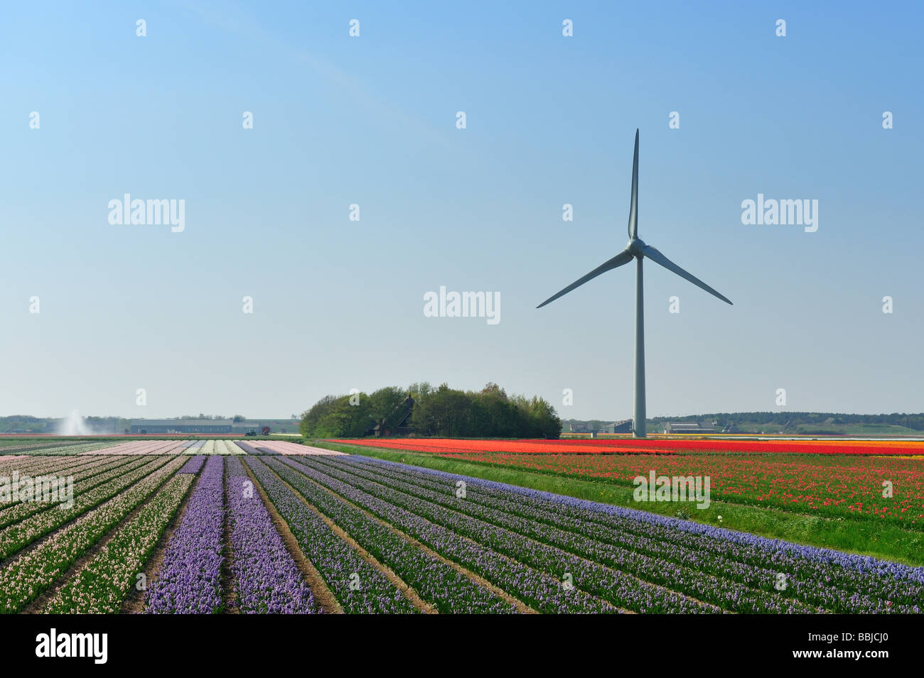 Wind turbine energy tulip hi-res stock photography and images - Alamy