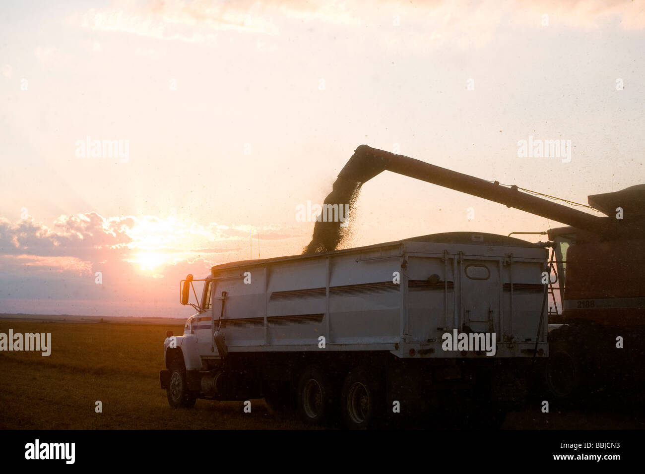 Unloads hi-res stock photography and images - Alamy