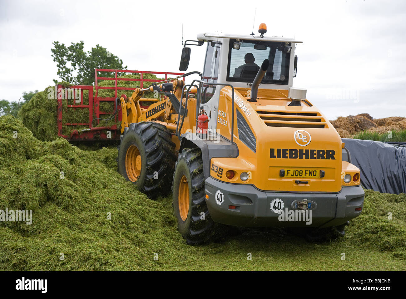 Grass silage hi-res stock photography and images - Alamy