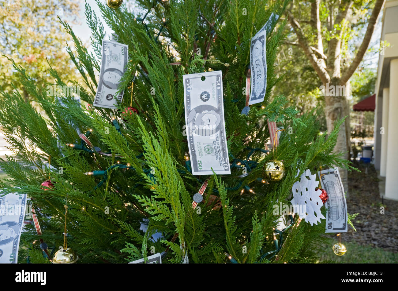 Tree money bank hi-res stock photography and images - Alamy