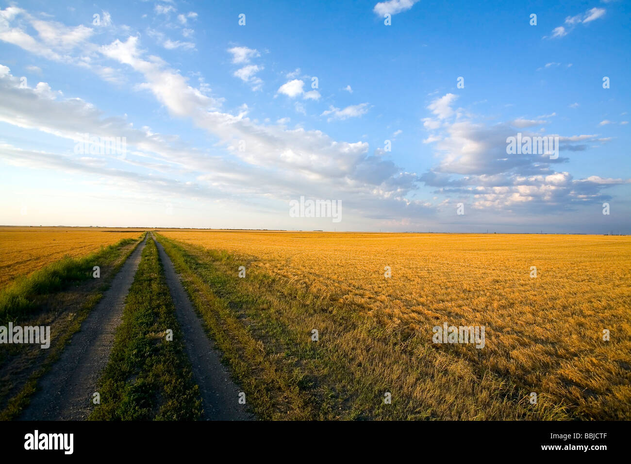 Farming in saskatchewan hi-res stock photography and images - Alamy