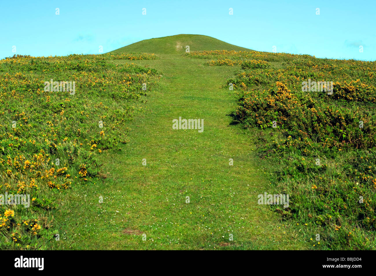 Barrow Mound, Five Barrows, Tennyson Trail, nr Brook, Isle of Wight ...