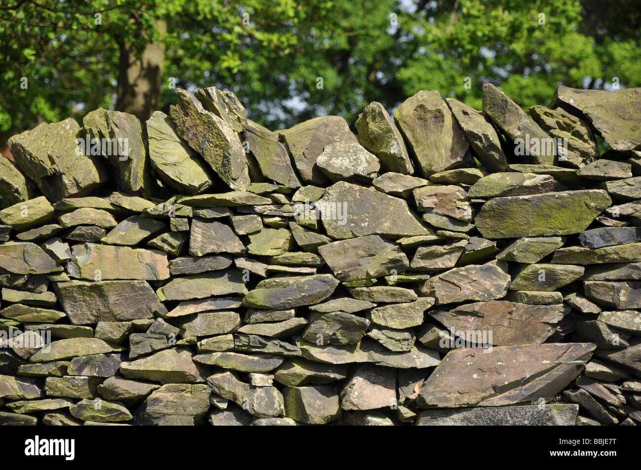 Dry stone wall english countryside Stock Photo - Alamy