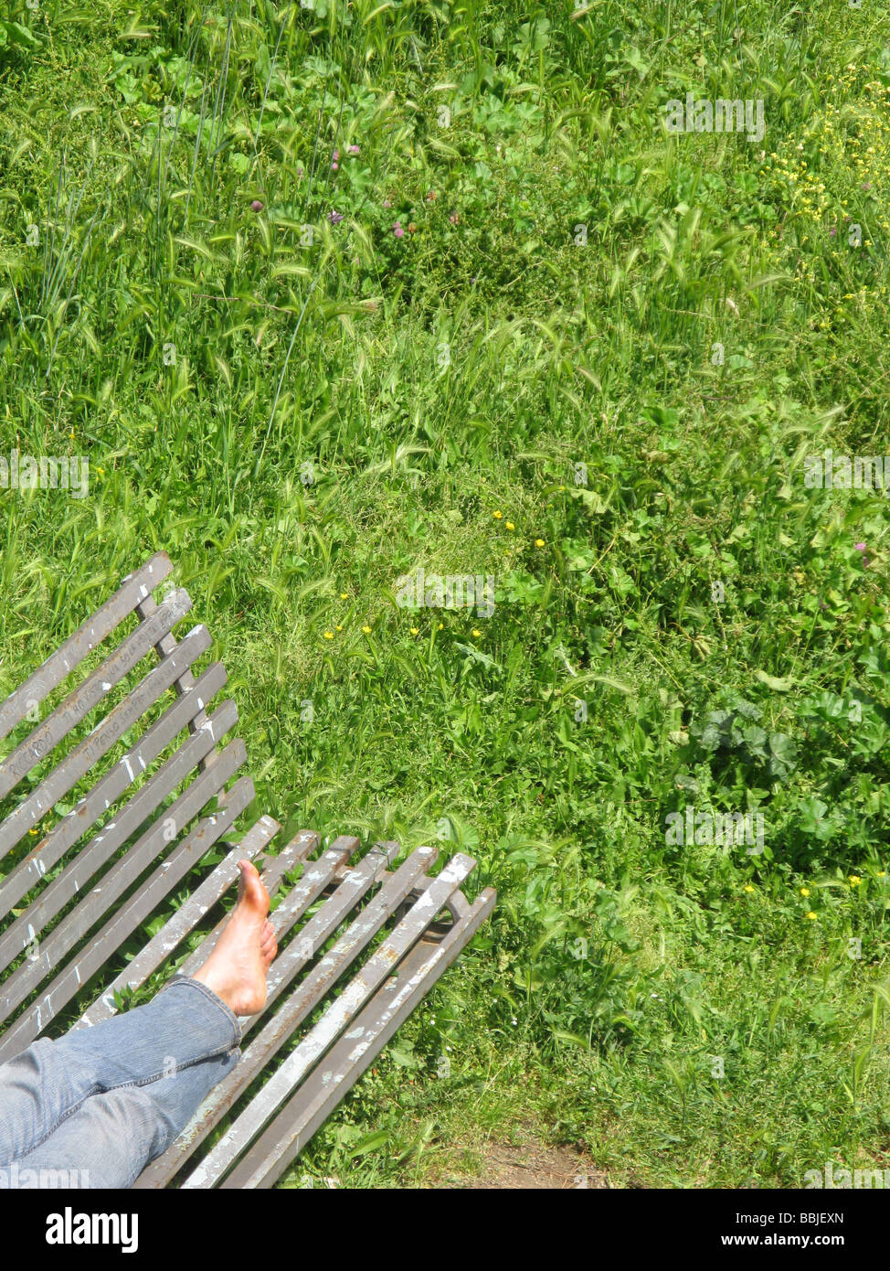 person sleeping on bench in park Stock Photo - Alamy