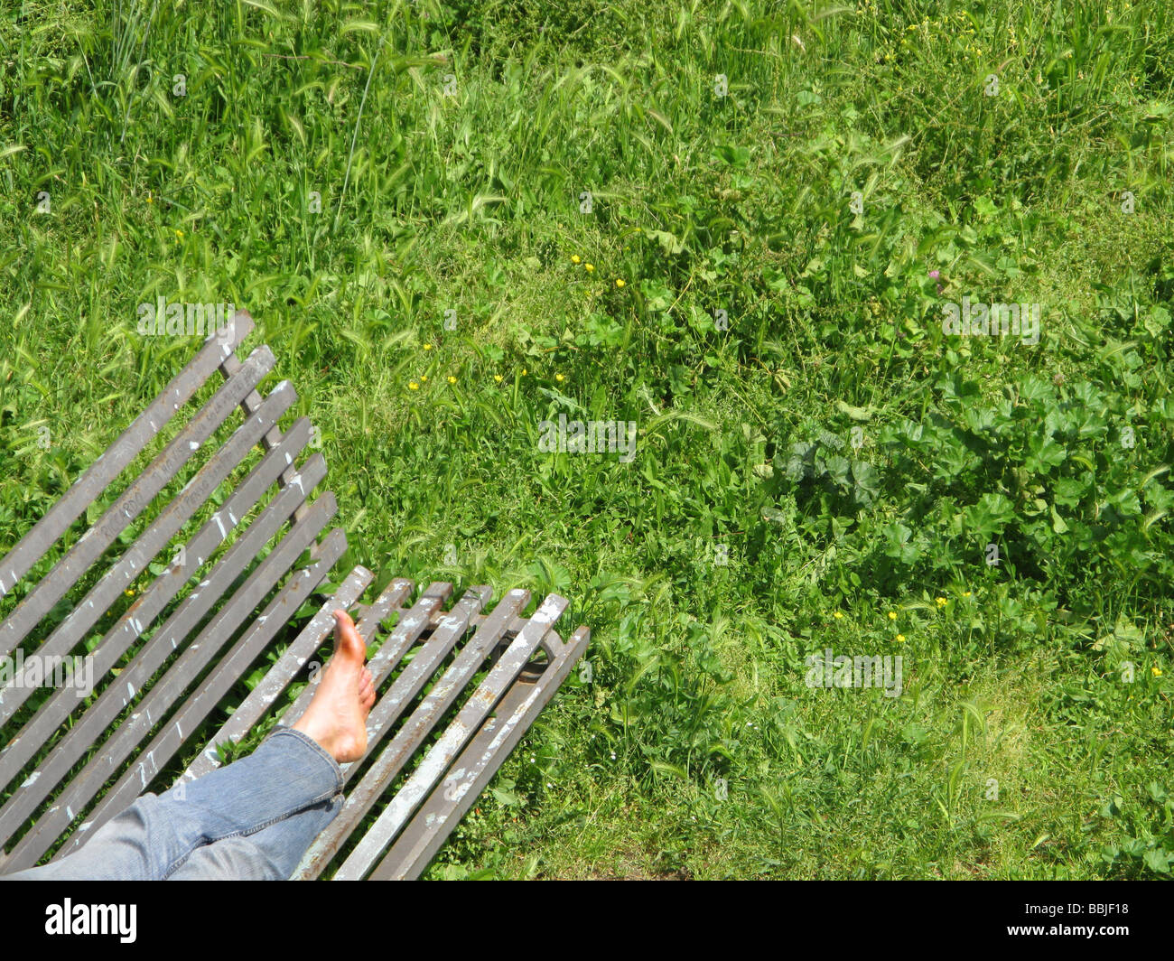 person sleeping on bench in park Stock Photo - Alamy
