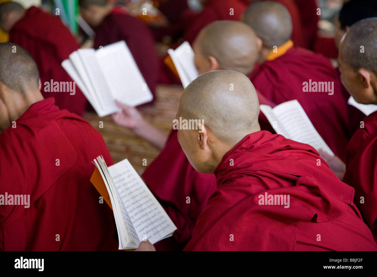 Buddhist monks reading the sacred texts. Tsuglagkhang temple. McLeod ...