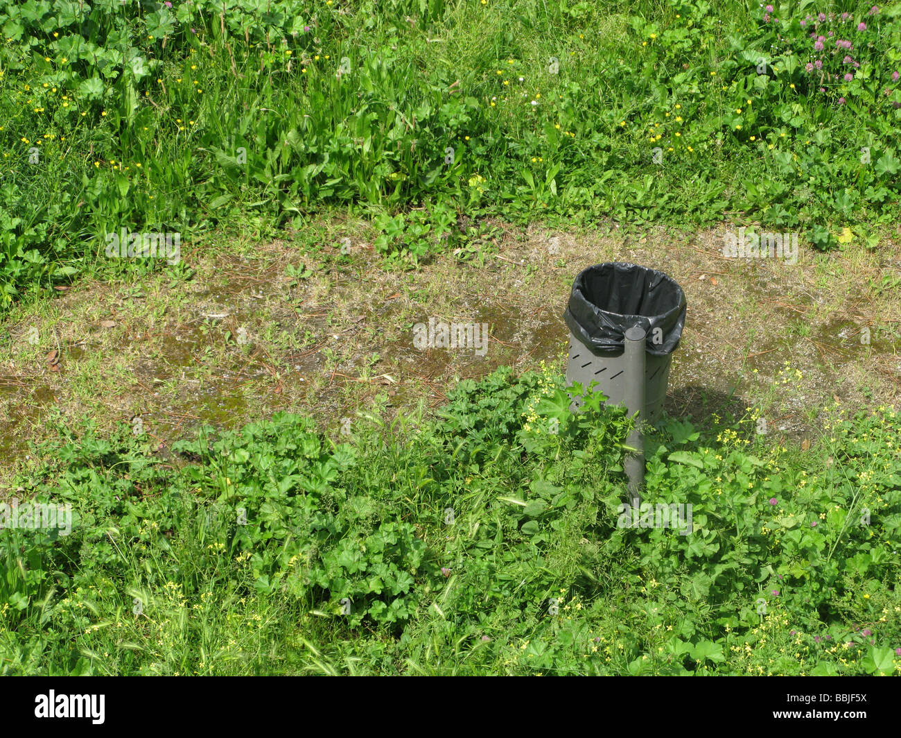 one litter bin in park in countryside Stock Photo - Alamy