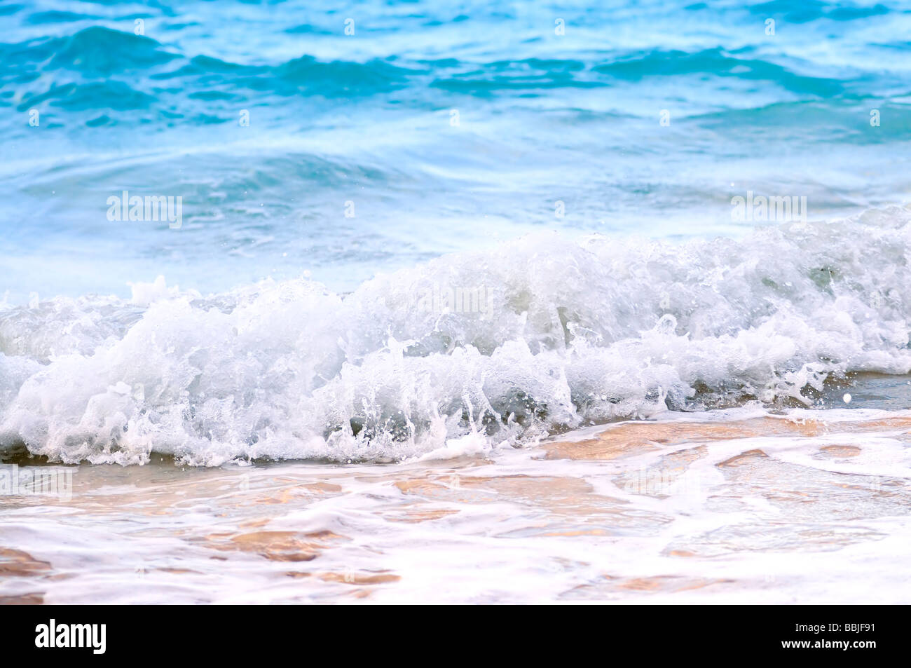 Tropical Caribbean sea waves breaking on the shore Stock Photo - Alamy