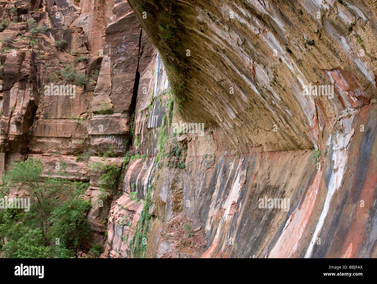 Weeping Rock Zion
