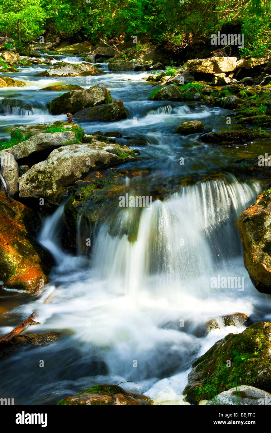 Water rushing among rocks in river rapids in Ontario Canada Stock Photo ...