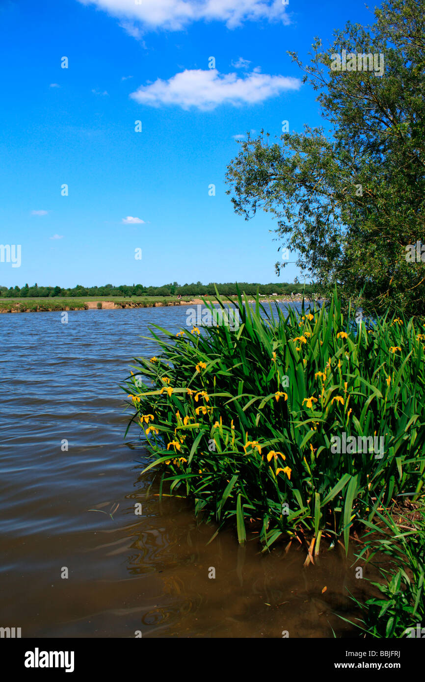 The River Thames at Port Meadow in Oxford on a sunny day in May Stock ...