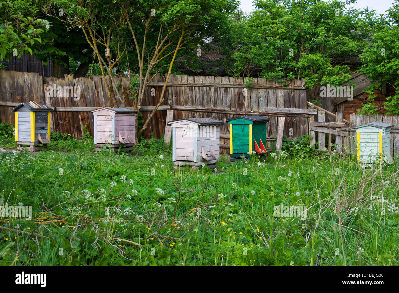 Colourful bee hives hi-res stock photography and images - Alamy