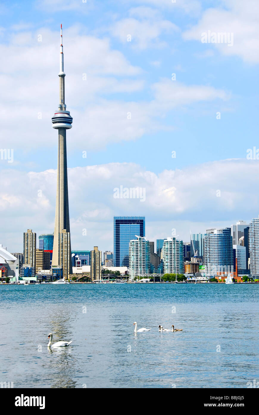 Toronto harbor skyline with CN Tower and skyscrapers Stock Photo - Alamy