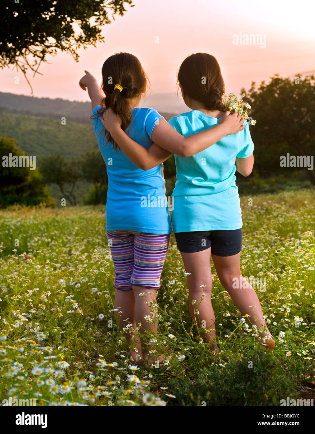 Two girls hugging in flowers in field at sunset Stock Photo - Alamy