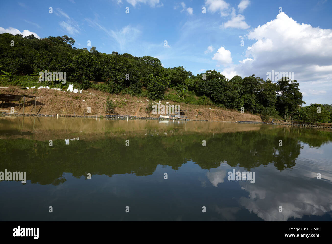 Fishing ponds hi-res stock photography and images - Alamy