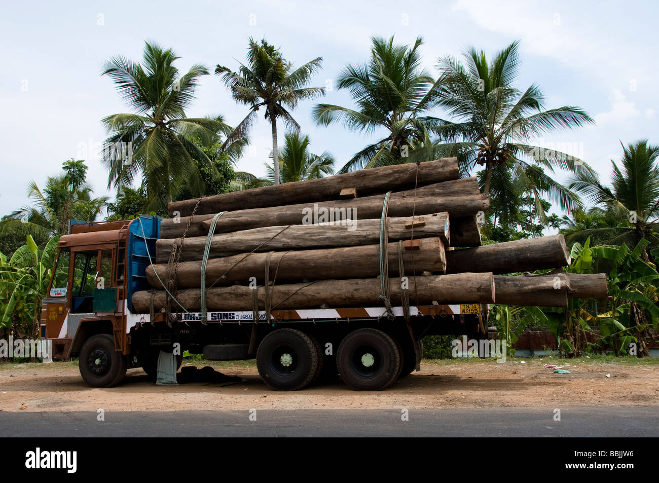 Deforestation Trucks loaded with logs in India Stock Photo - Alamy