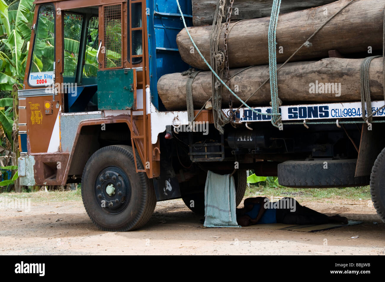 Deforestation Trucks loaded with logs in India Stock Photo - Alamy