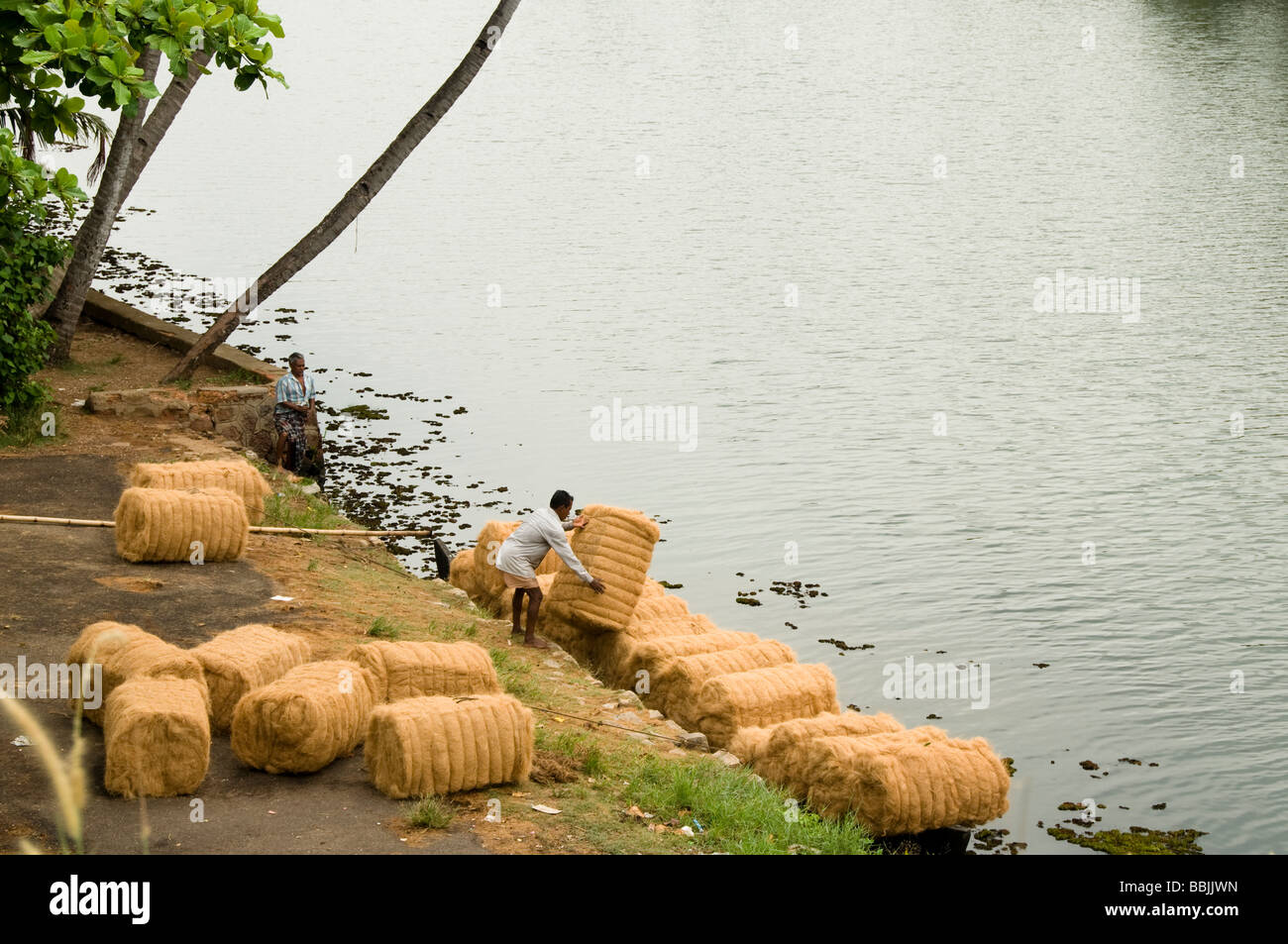 Coir made from coconut hust hi-res stock photography and images - Alamy