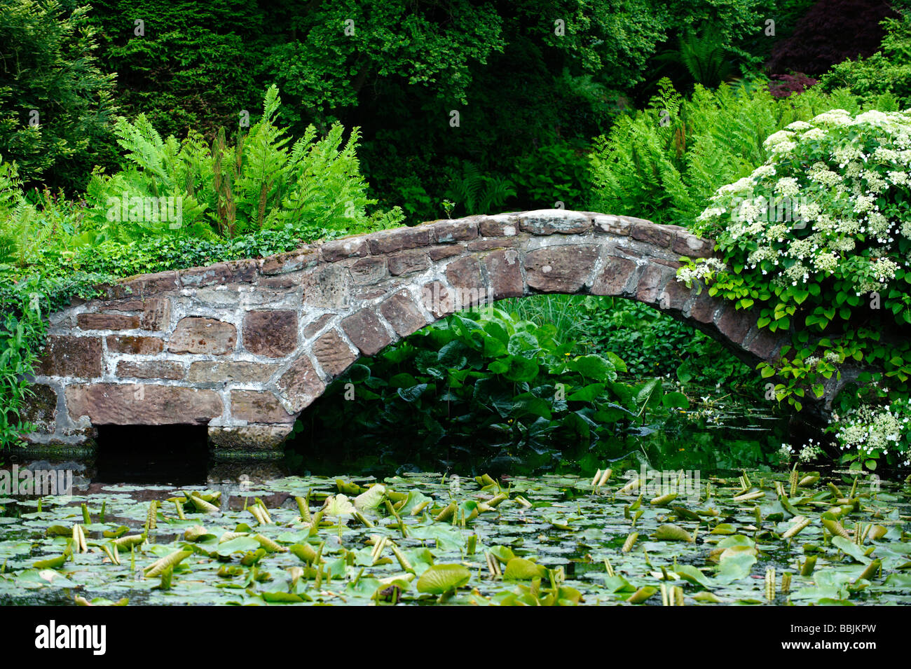 Monet bridge over a pond hi-res stock photography and images - Alamy