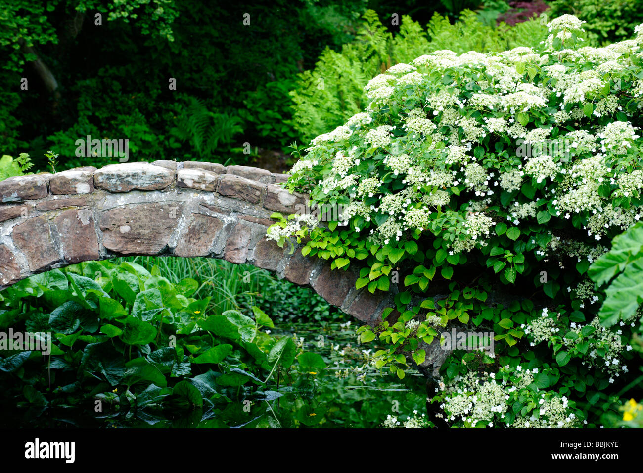 Pretty stone bridge hi-res stock photography and images - Alamy