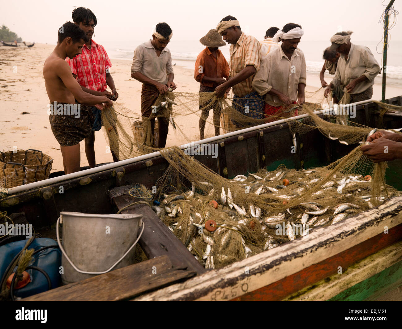 Fishermen emptying fish nets beside boat in India Stock Photo - Alamy